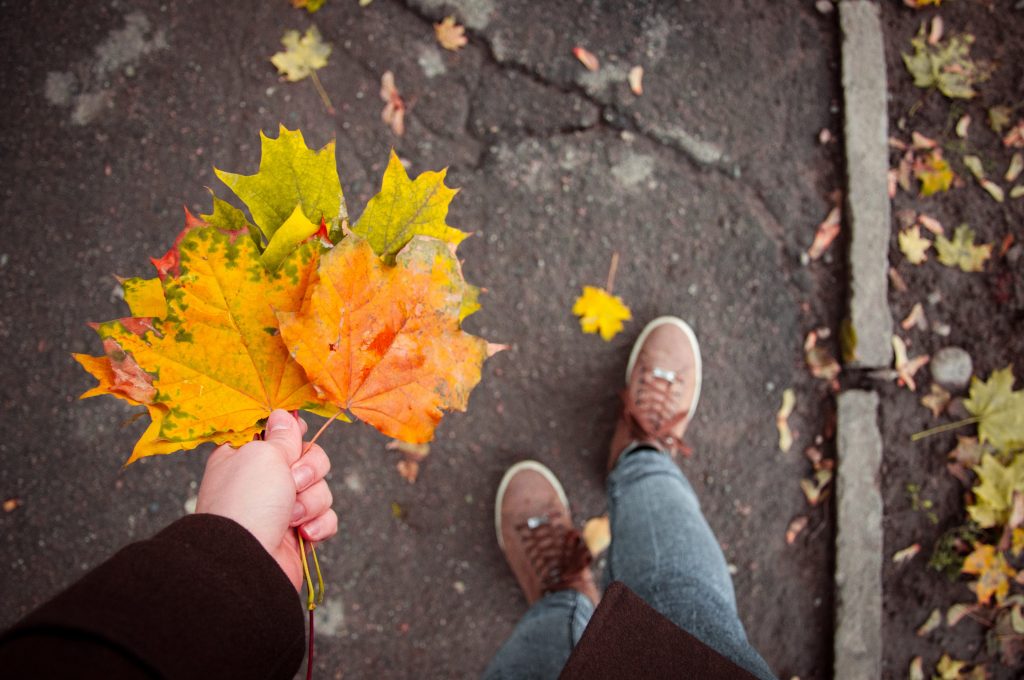 3 Fun Fall Activities | Happy Camper Live