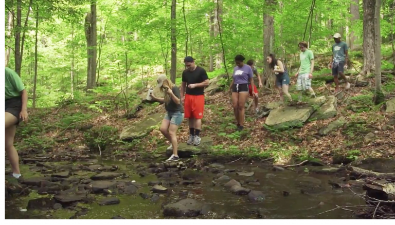 Learn Essential Camp Survival Skills | Happy Camper Live