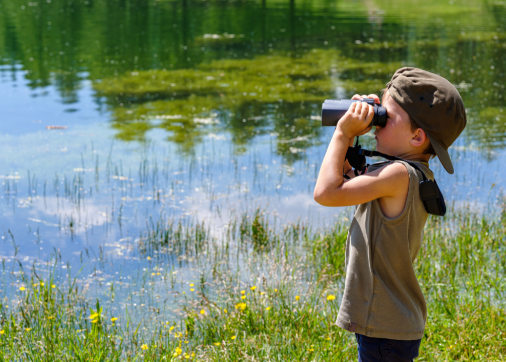 Nature Exploration: Discovering Wildlife At Camp | Happy Camper Live