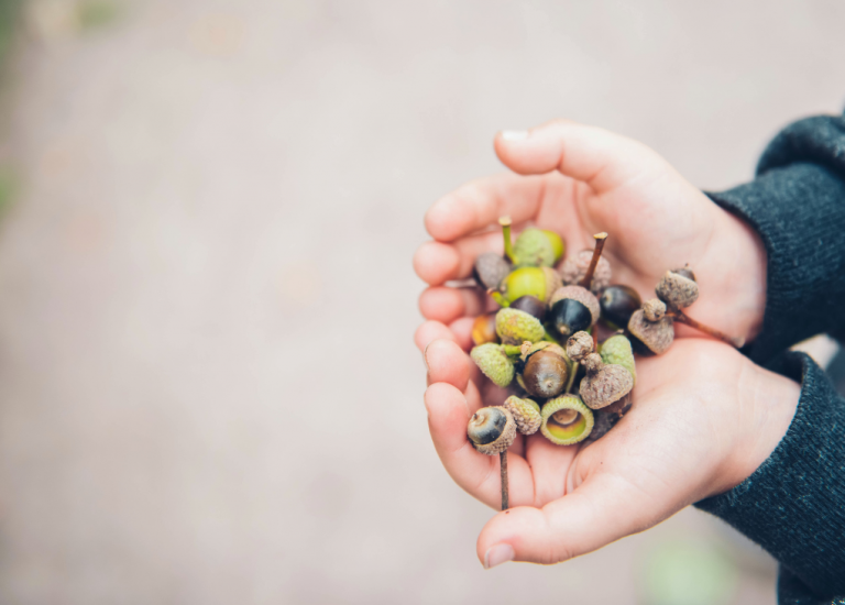 Science Experiments For Fall | Happy Camper Live