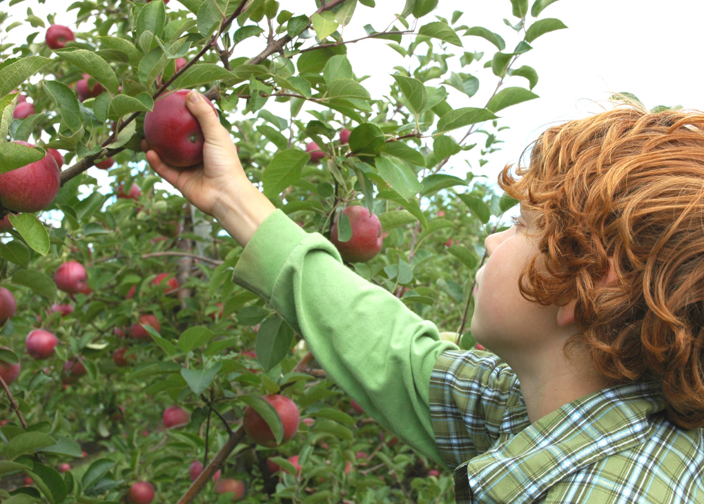 Fall Fitness: Fun Ways to Stay Active for Kids | Happy Camper Live