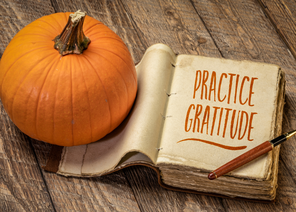 Thanksgiving Traditions to Start With Your Family | Happy Camper Live