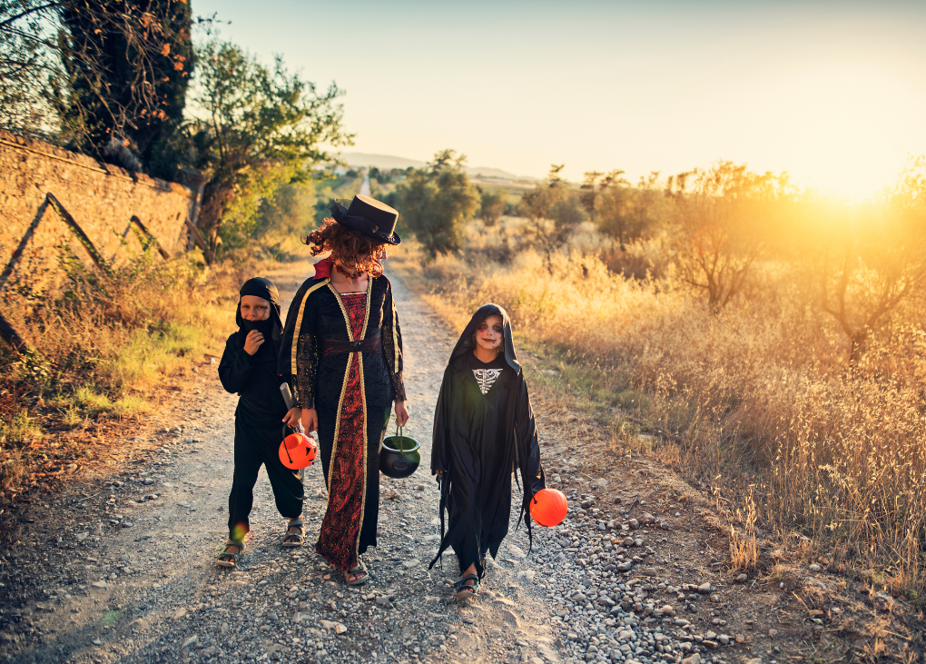 How to Go on a Spooky Nature Walk: A Kid’s Guide | Happy Camper Live