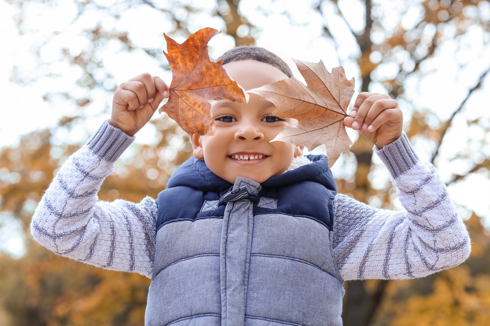 Make Your Own Fall Leaf Creatures | Happy Camper Live